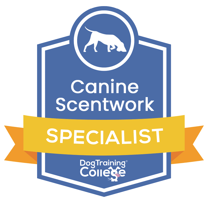 Meet the Team - Hoof & Paws